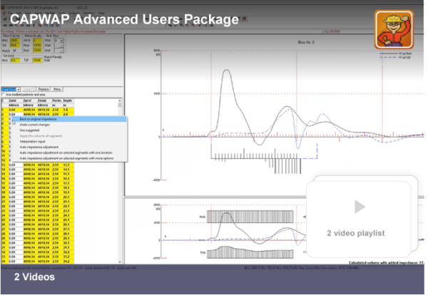 CAPWAP Advanced Users Package - Pile Dynamics, Inc.